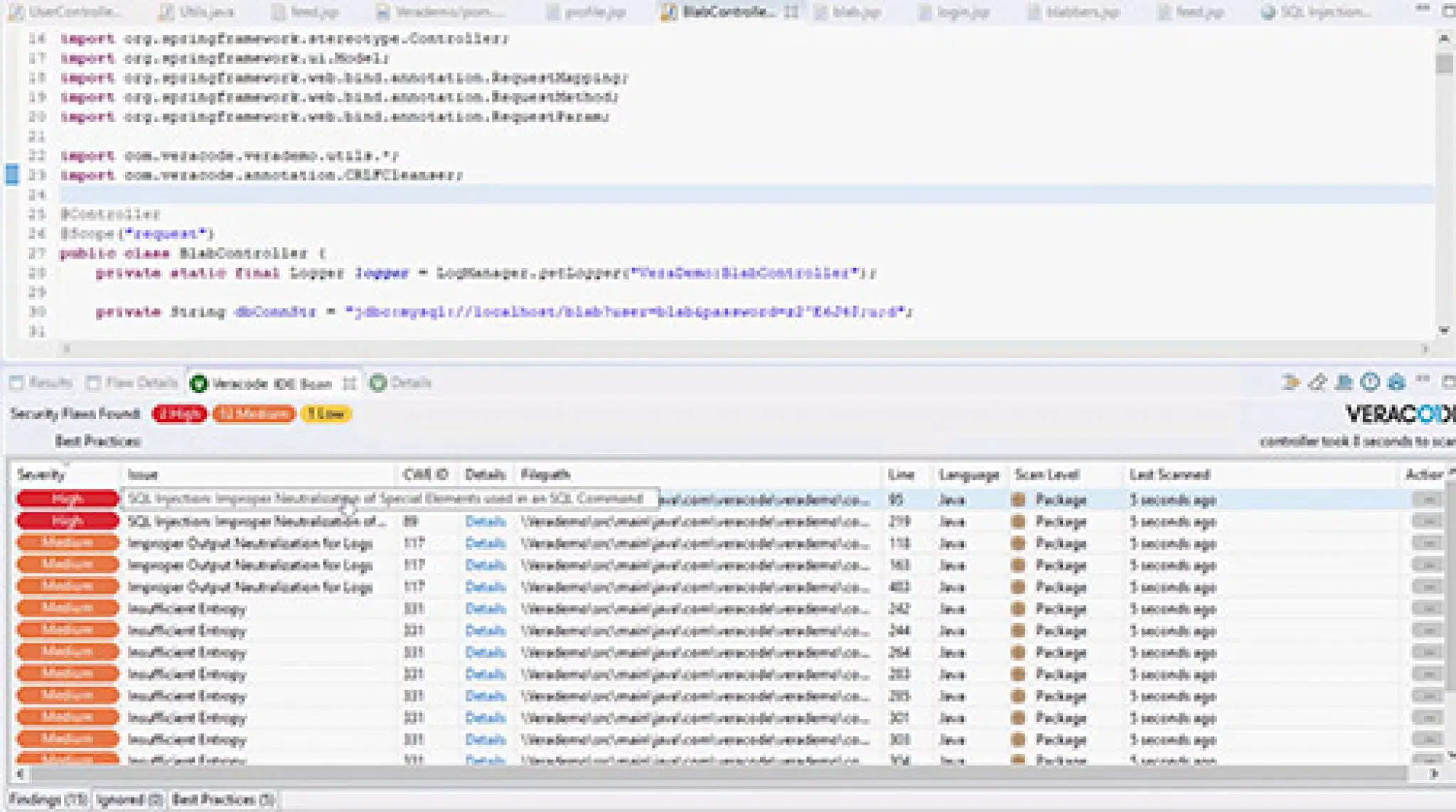 Veracode Application Security Platform